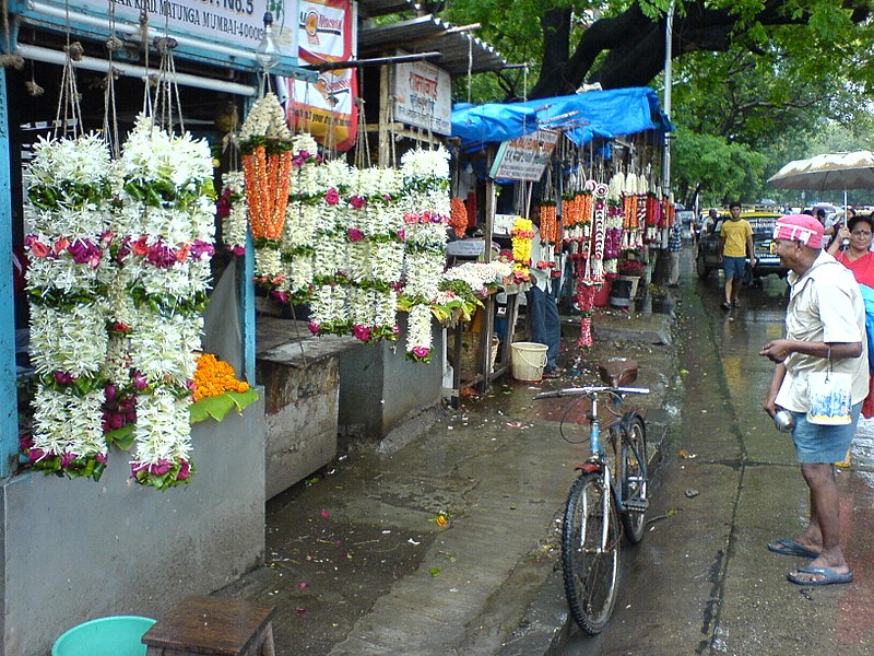 Everything you need to know about Matunga, Mumbai - MyGate